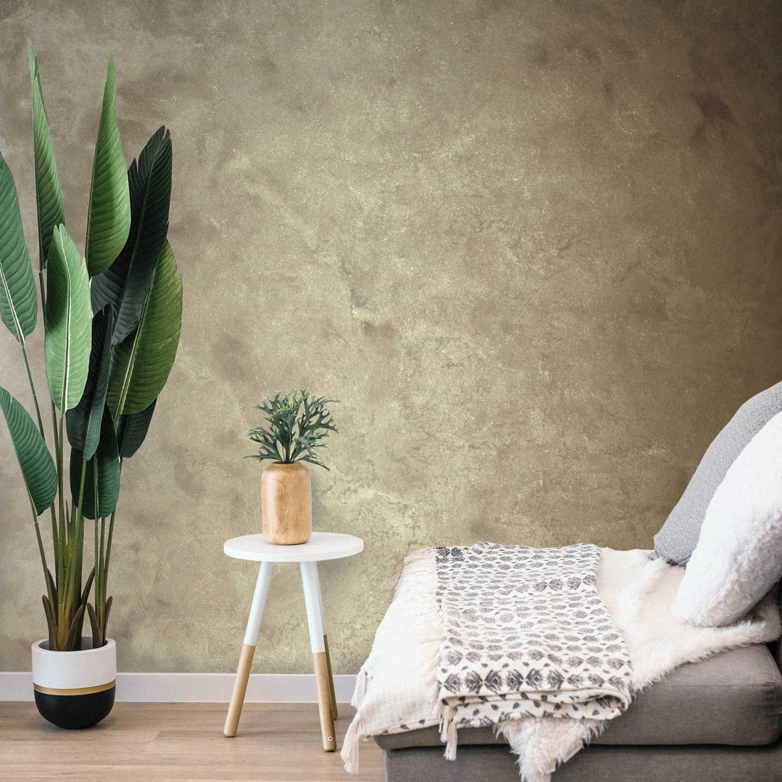 Primacol - Official Store - Decorative Paints & Plasters – Primacol.com